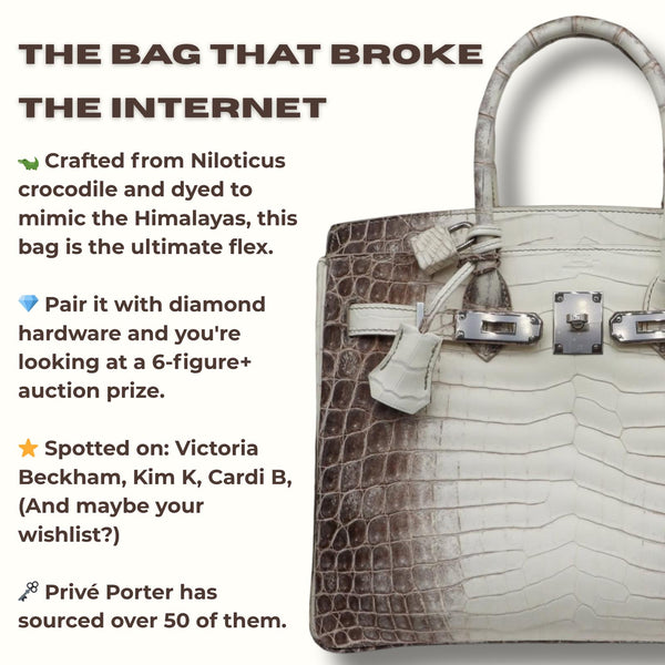 The Bag That Broke the Internet: Inside the Hype of the Hermès Himalay ...